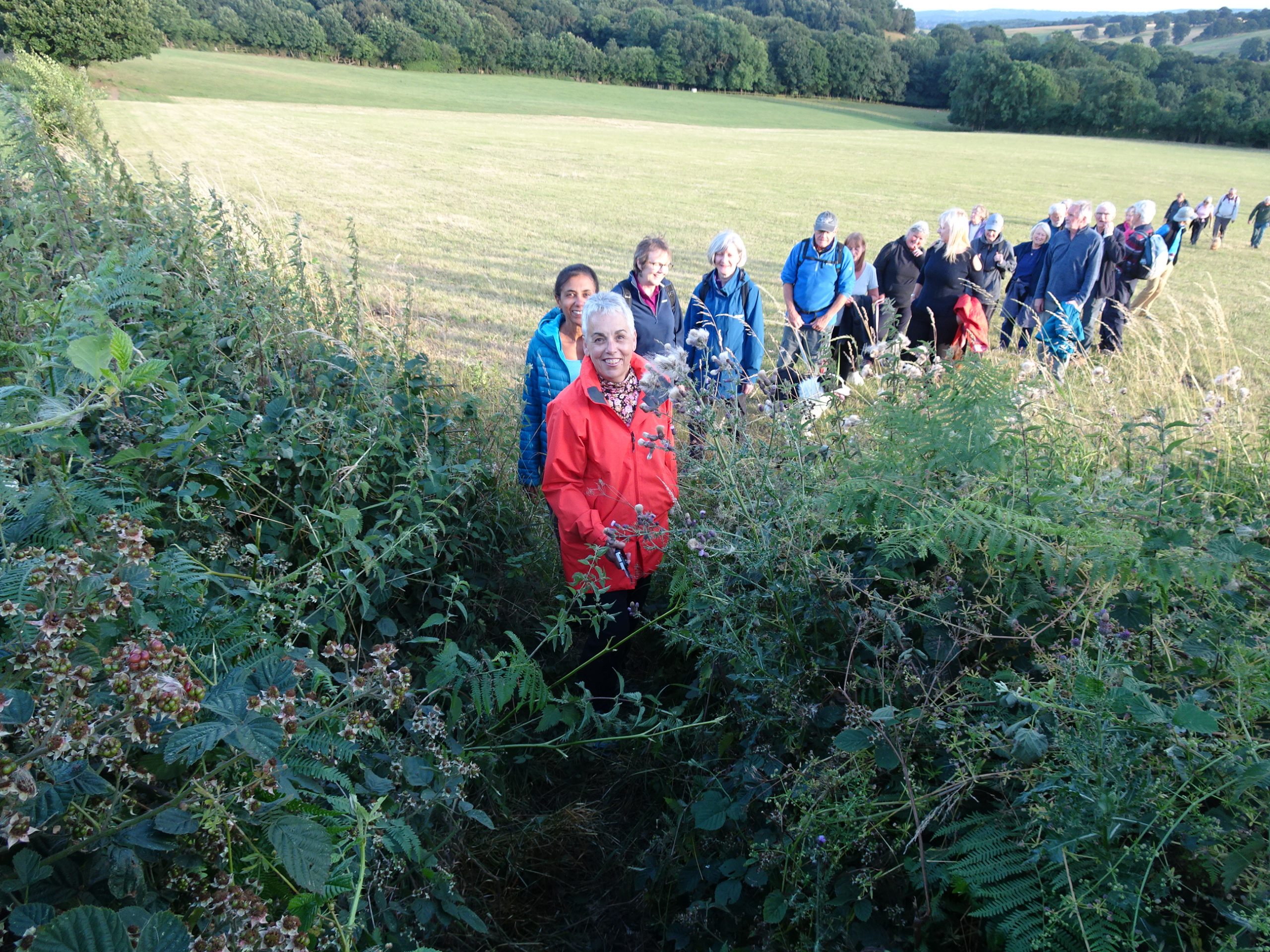 Dronfield Footpaths – A walking group based in Dronfield, Derbyshire