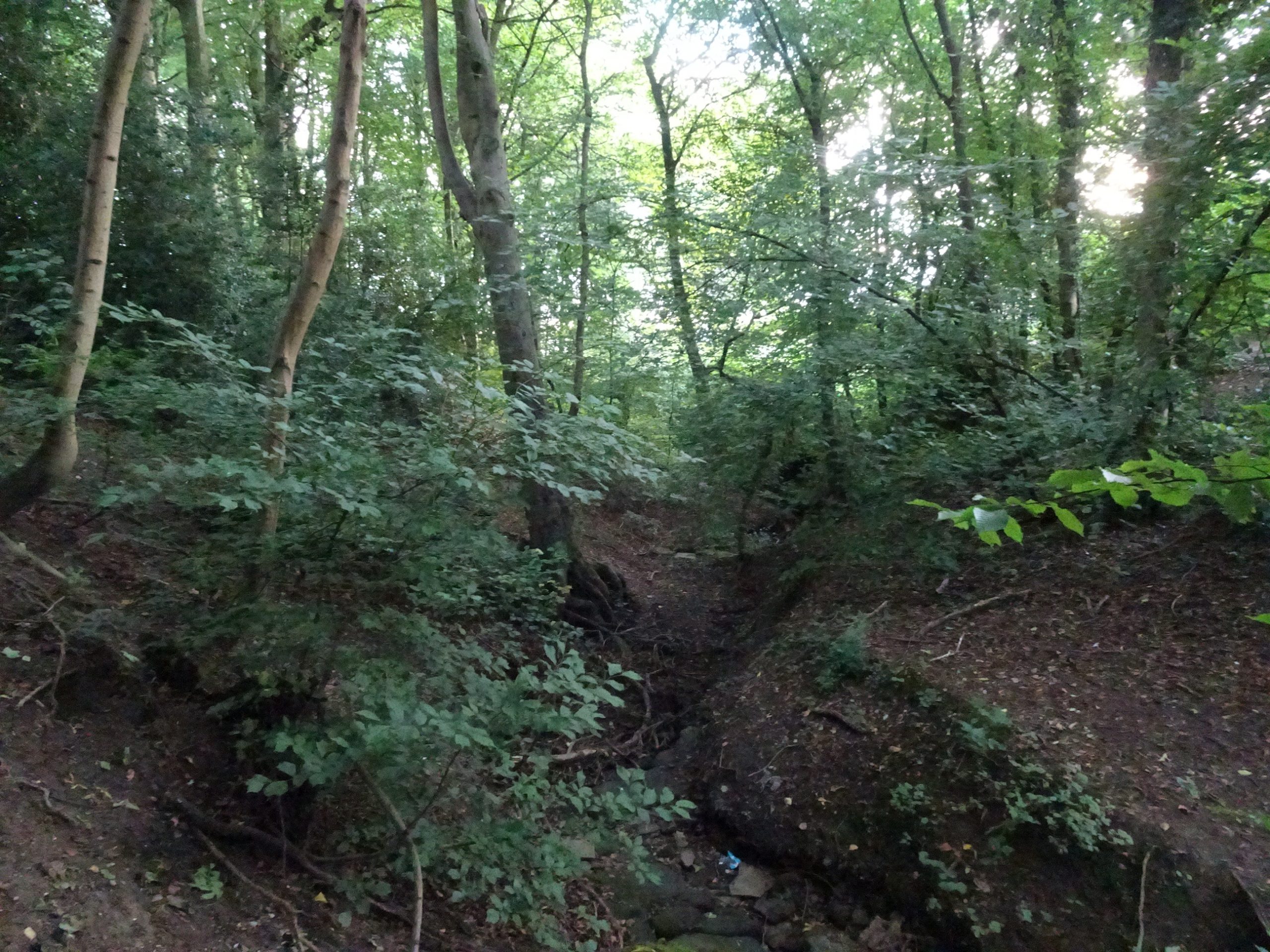 Dronfield Footpaths – A walking group based in Dronfield, Derbyshire